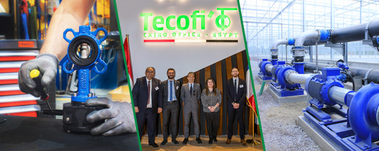 New subsidiary in Egypt - TECOFI valve designerValve designer